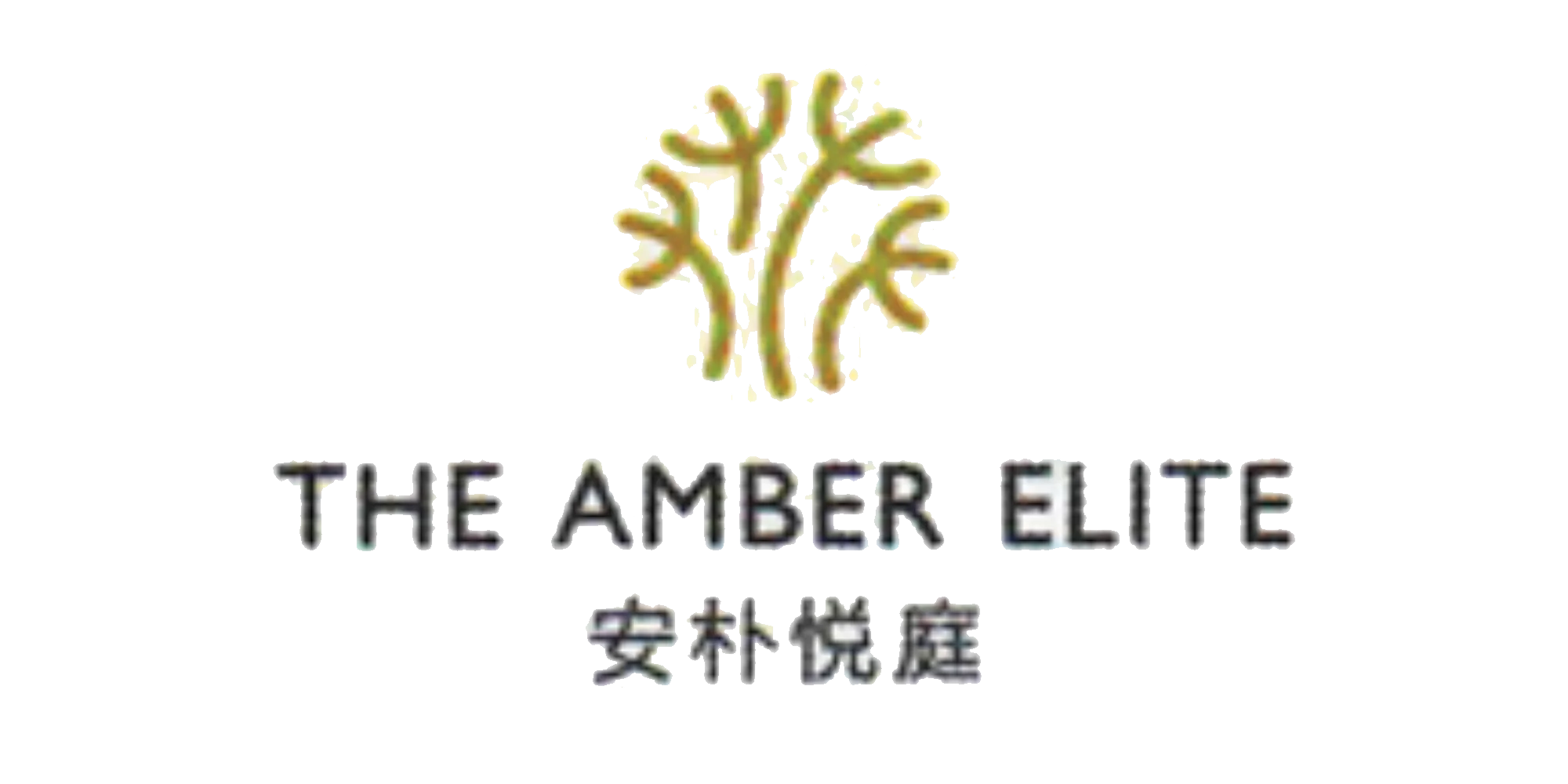 Home - International Golden Shield Security